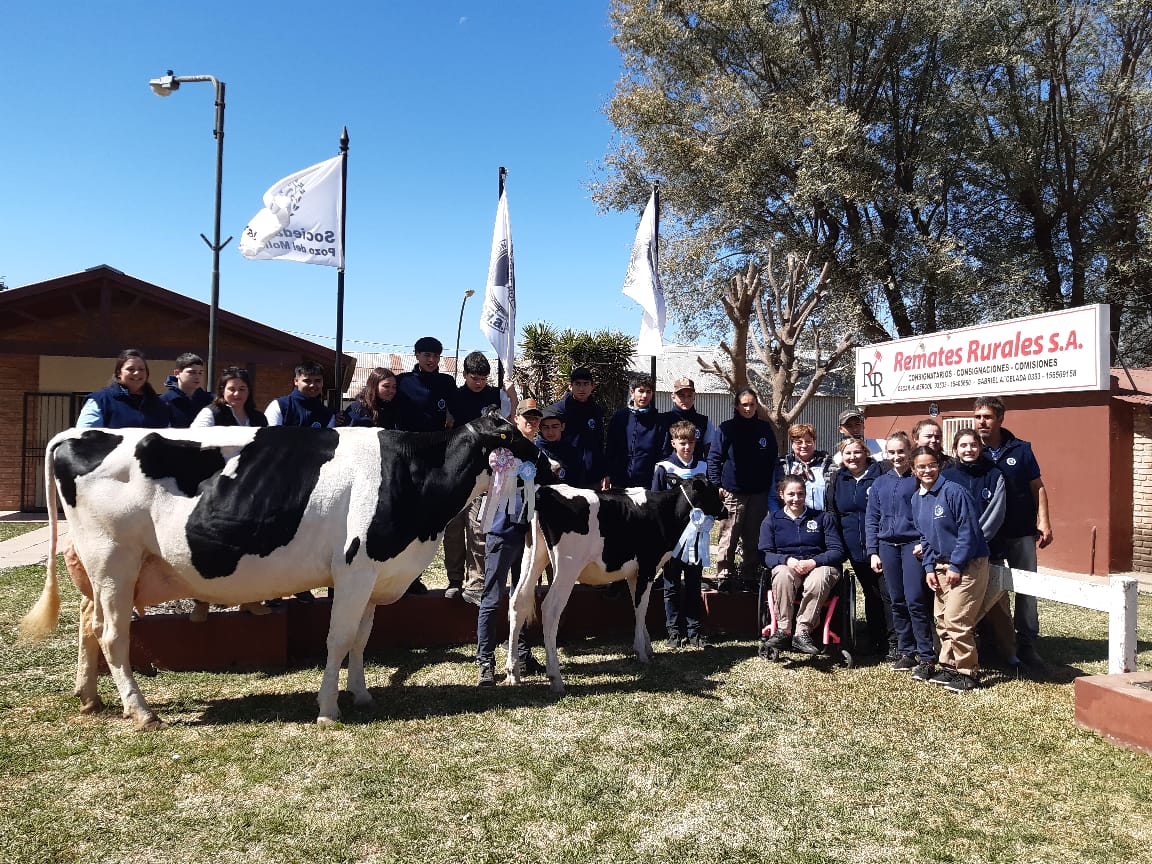 Paulina, la vaca más premiada que representó al Instituto General ...